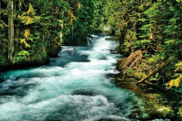 Camp Sherman - Retreat by the River — Bend Magazine