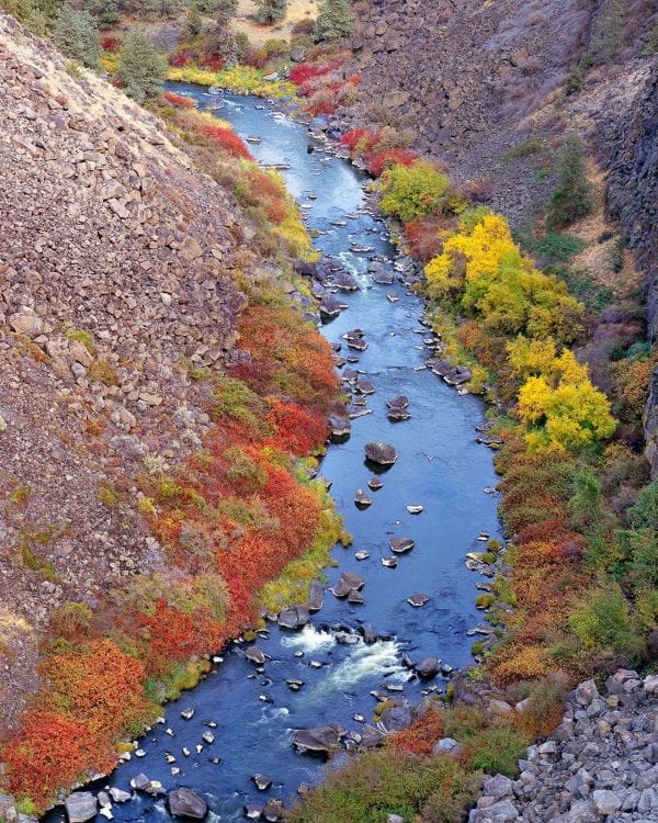 A Swimming Chance For Fish On The Crooked River — Bend Magazine
